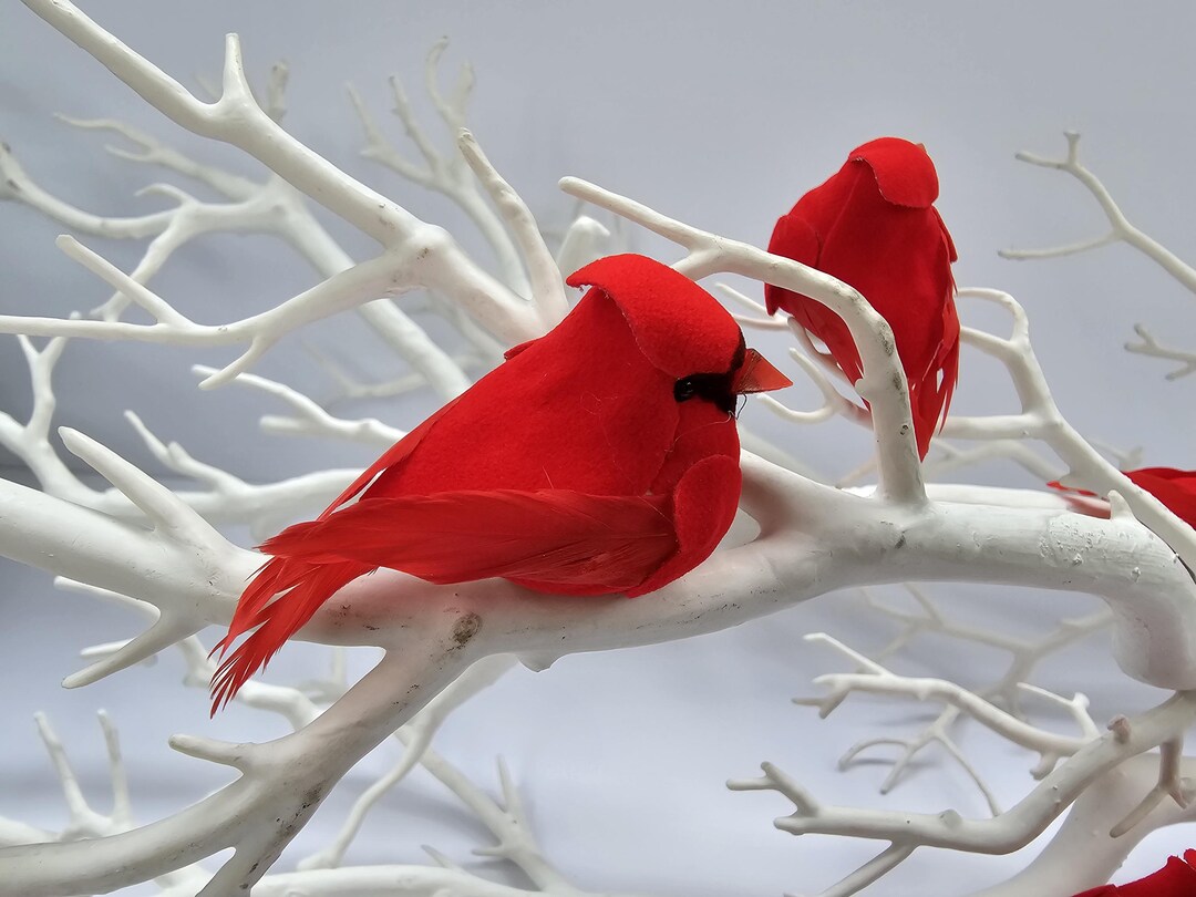 6 Medium Artificial Woodland Red Cardinal Feathered Garden Foam Birds ...