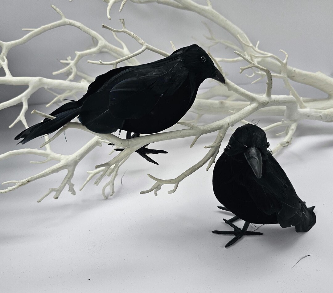 Pair of Artificial Feather Black Crows Ravens Fake Birds Halloween Prop ...