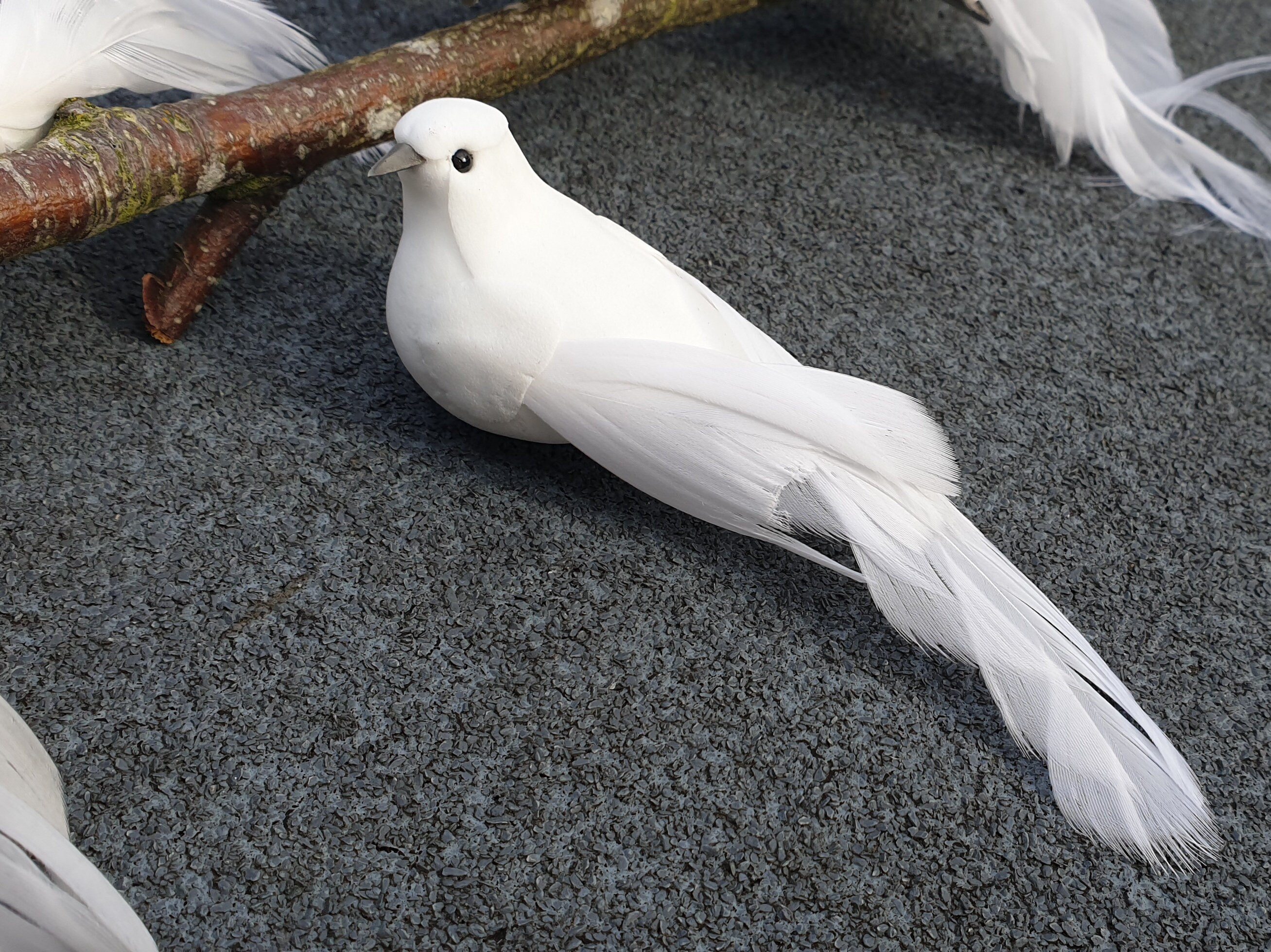 6 Artificial White Fake Feather Clip on Birds Cake Craft Dove - Etsy