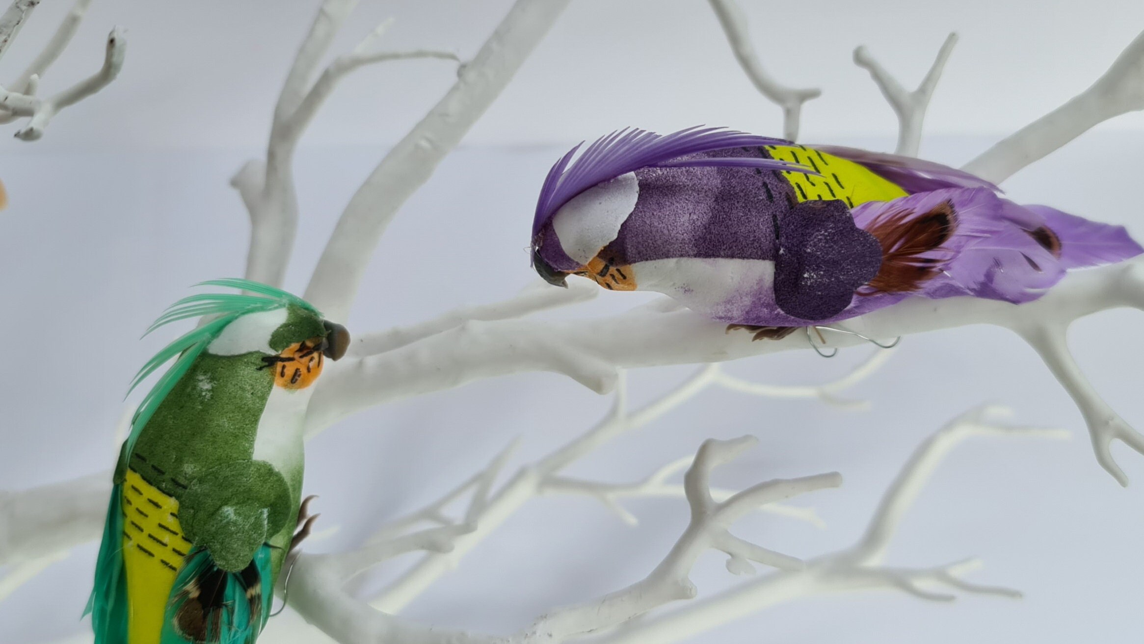 6 Rainbow Artificial Foam Feather Tropical Parrot Craft Birds - Etsy