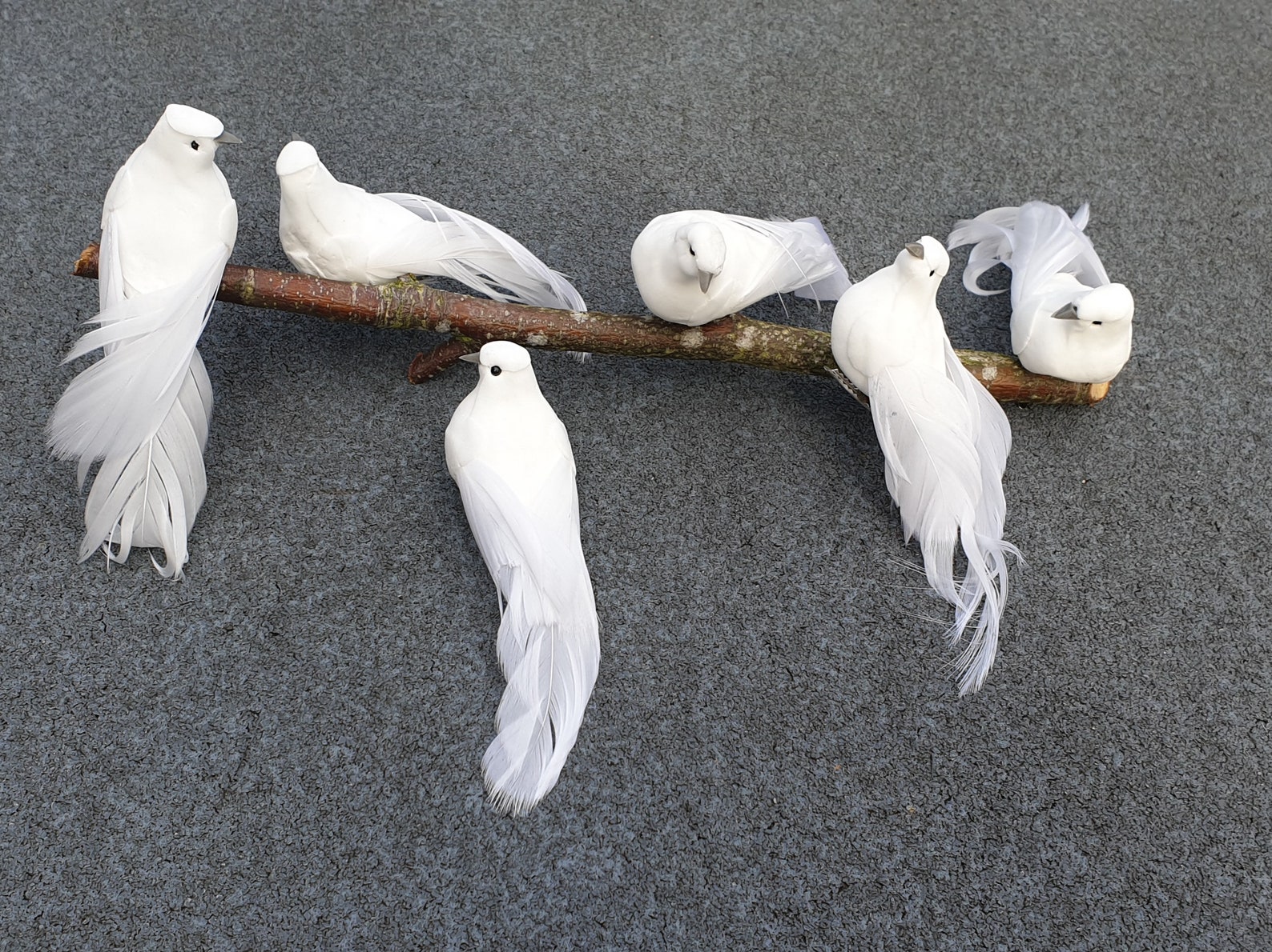 6 Artificial White Fake Feather Clip on Birds Cake Craft Dove - Etsy