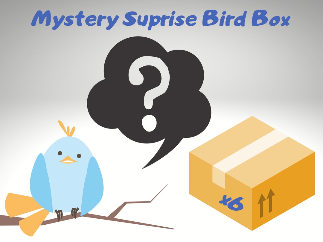 Mystery Mix Up de 6 assortiments de 6 oiseaux colorés arc-en-ciel ...