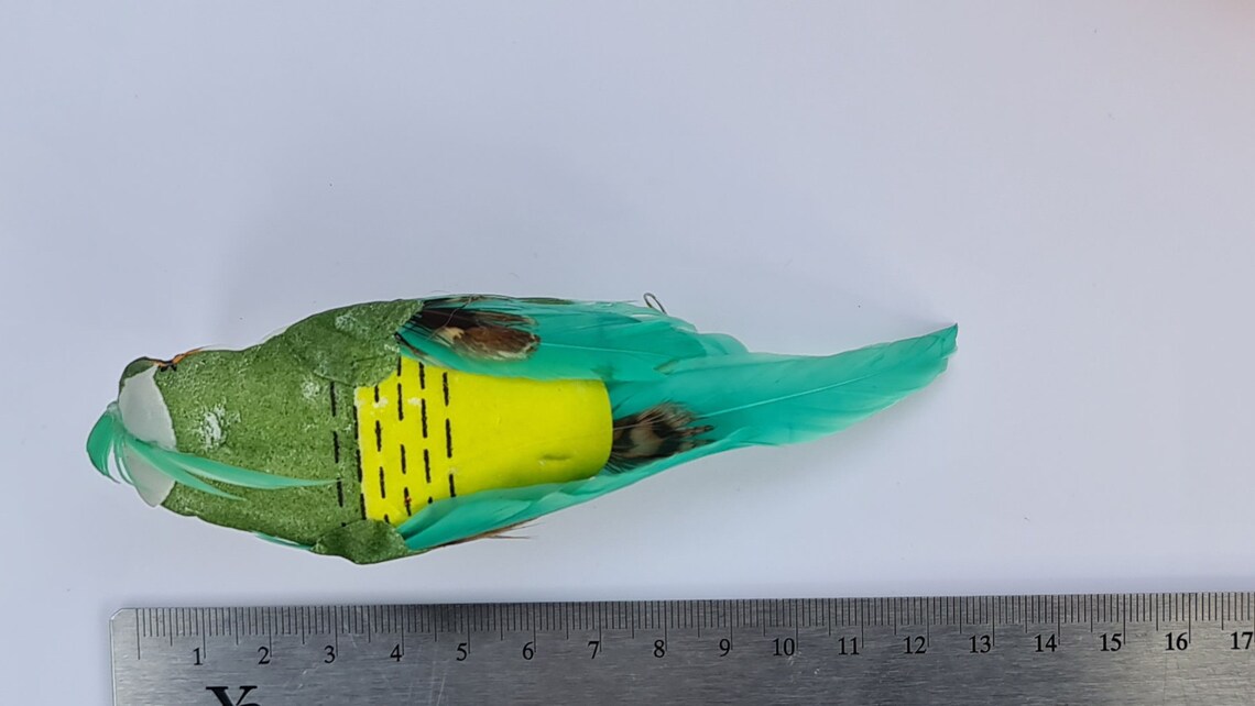 6 Rainbow Artificial Foam Feather Tropical Parrot Craft Birds - Etsy