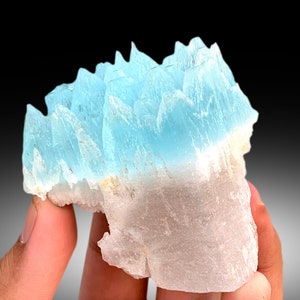 Bicolor Beryl, Aquamorganite Crystal, Morganite Var Aquamarine With ...