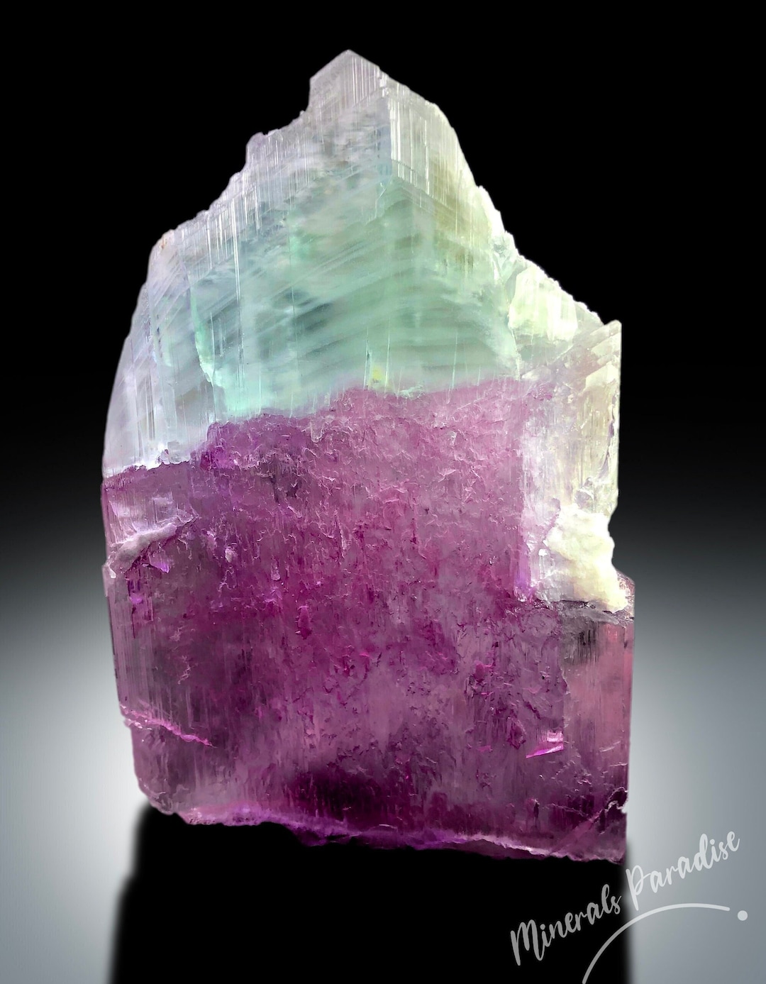 Bi-color Kunzite Crystal With Phantom, Natural Kunzite, Kunzite Stone ...