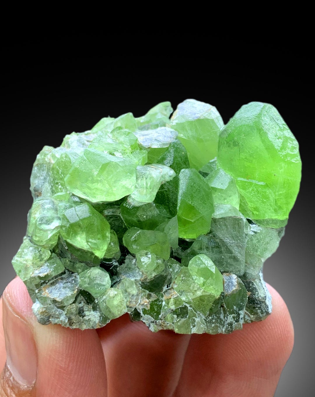 Lush Green Peridot Cluster, Peridot Crystals, Raw Mineral, Peridot ...