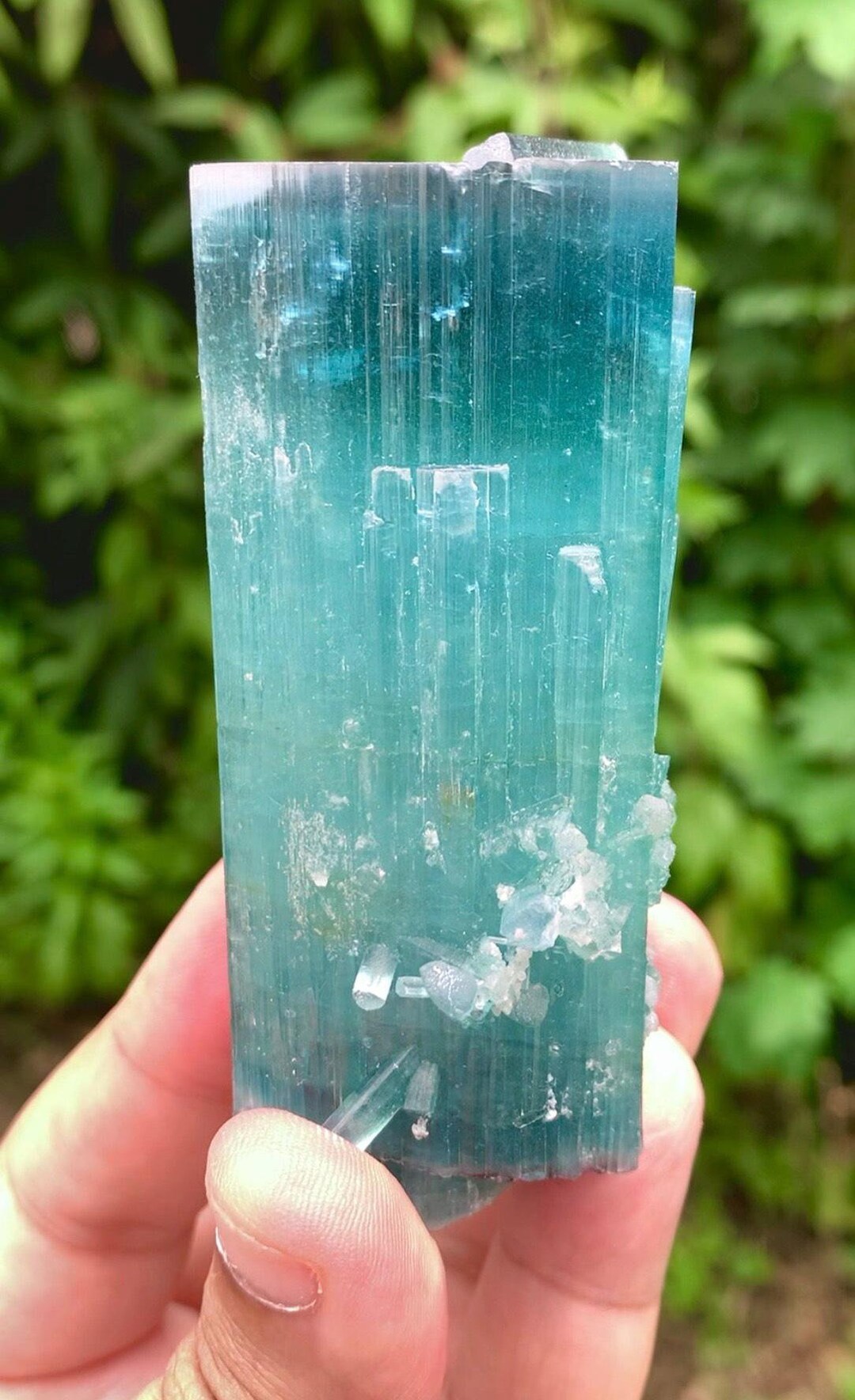 Purple Cap Blue Tourmaline Crystal, Tourmaline Specimen, Fine Mineral ...