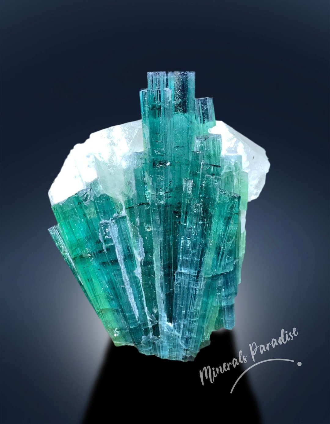 Blue Tourmaline Crystals on Quartz Specimen, Tourmalines Cluster ...