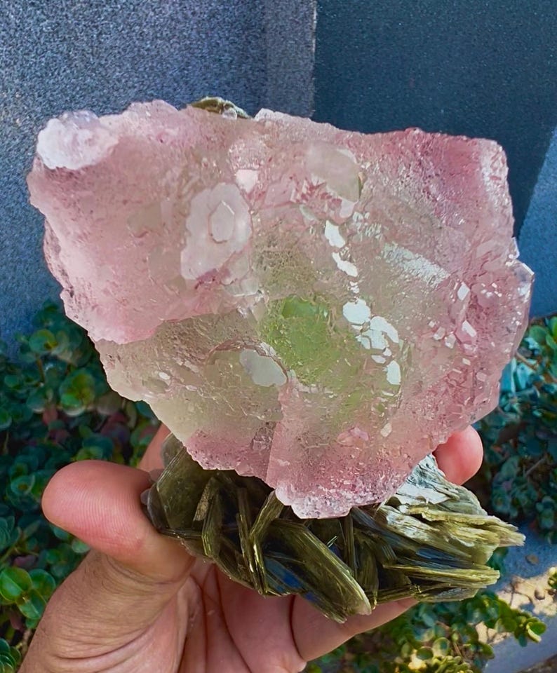 Pink Fluorite Crystal on Mica, Fluorite Specimen From Pakistan, 525 ...