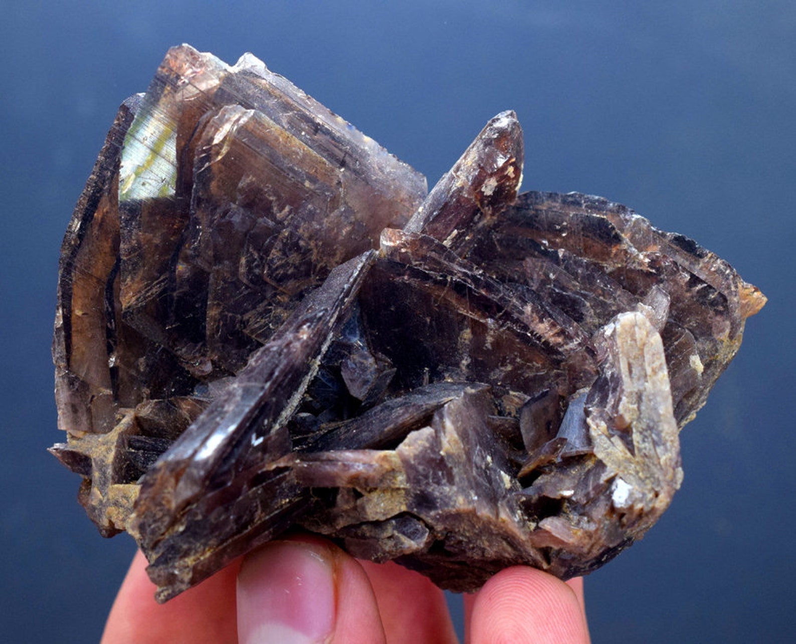 Axinite Specimen Axinite Crystals Mineral Specimen From - Etsy