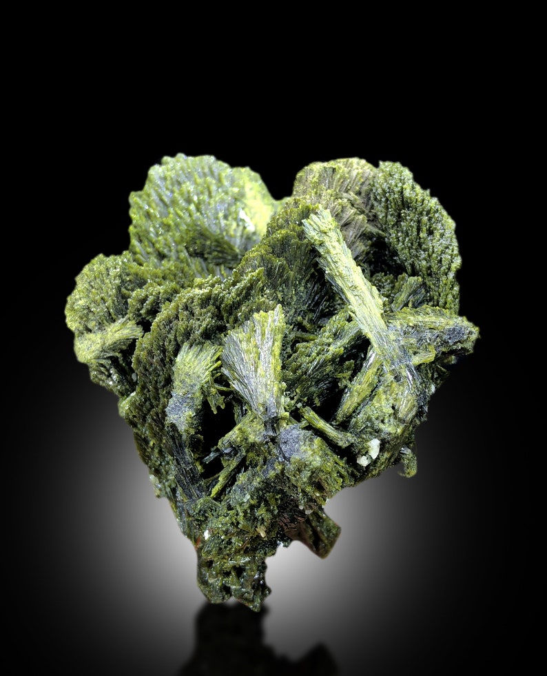 Green Epidote Specimen: Raw Tree Shape Mineral From Skardu Pakistan ...