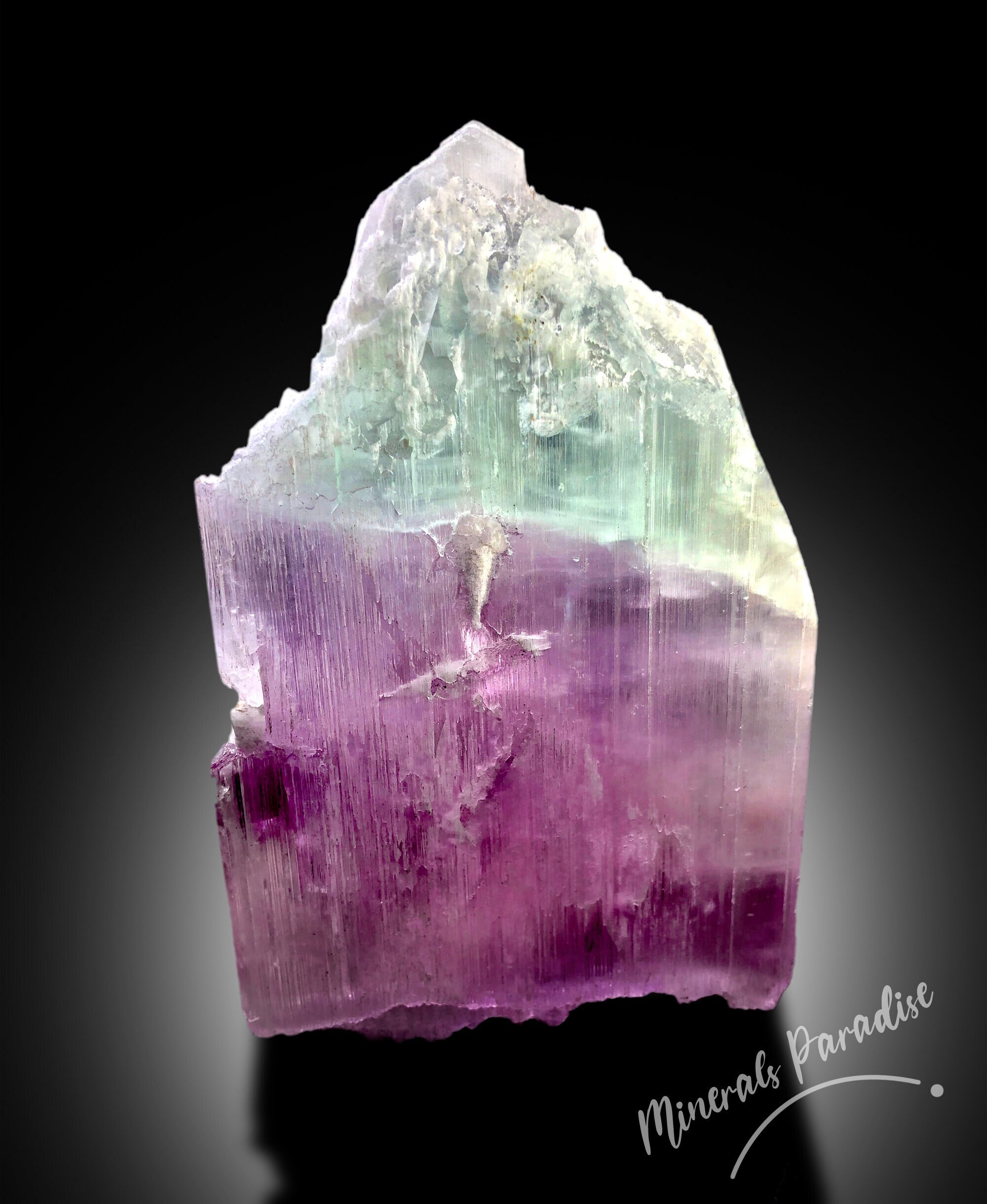 Bi-color Kunzite Crystal With Phantom, Natural Kunzite, Kunzite Stone ...