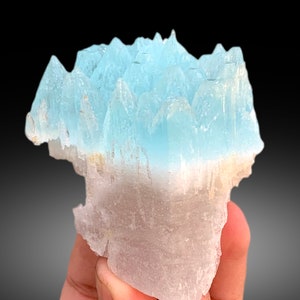 Bicolor Beryl, Aquamorganite Crystal, Morganite Var Aquamarine With ...