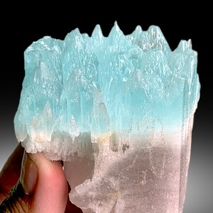 Bicolor Beryl, Aquamorganite Crystal, Morganite Var Aquamarine With ...