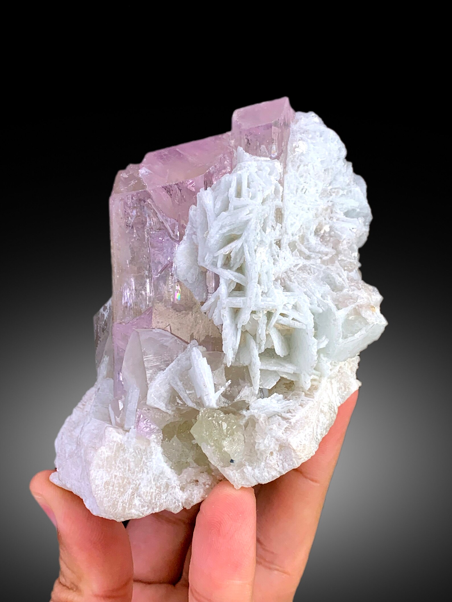 Kunzite Specimen With Quartz and Clevlandite Albite, Bicolor Kunzite ...