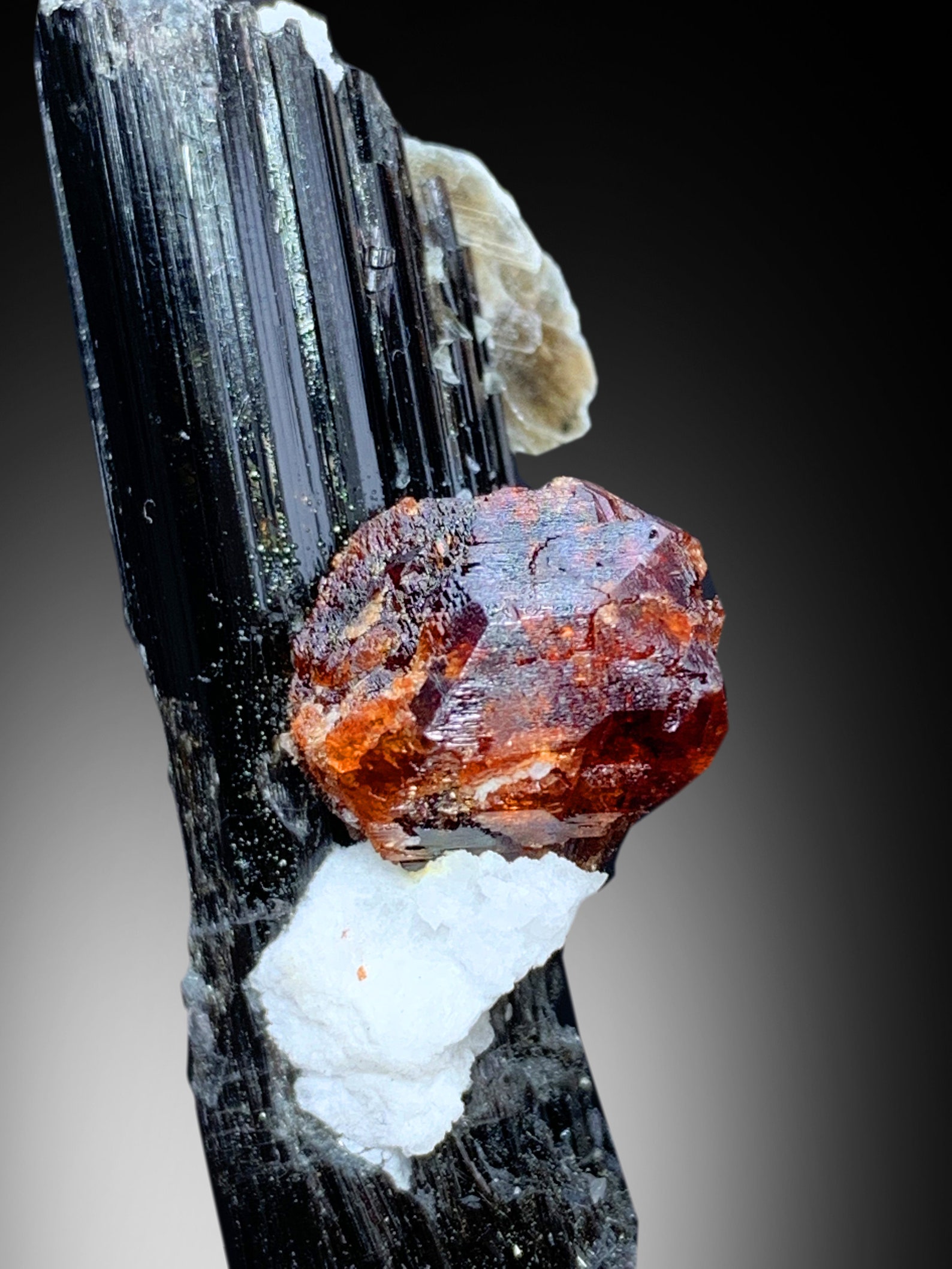 Red Garnet on Schorl, Mica and Feldspar From Skardu Pakistan - 35 Gram ...