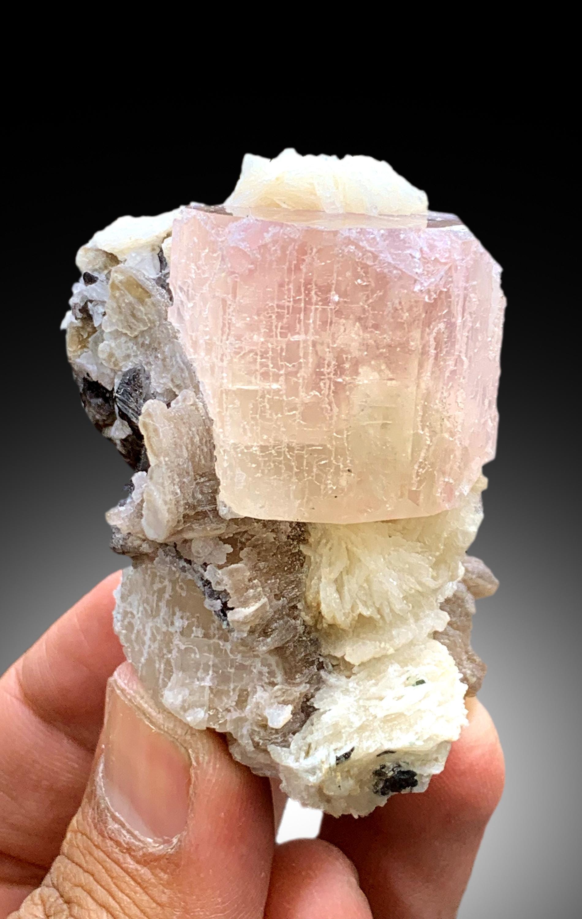 Peach Pink Color Morganite With Albite and Lepidolite, Morganite ...