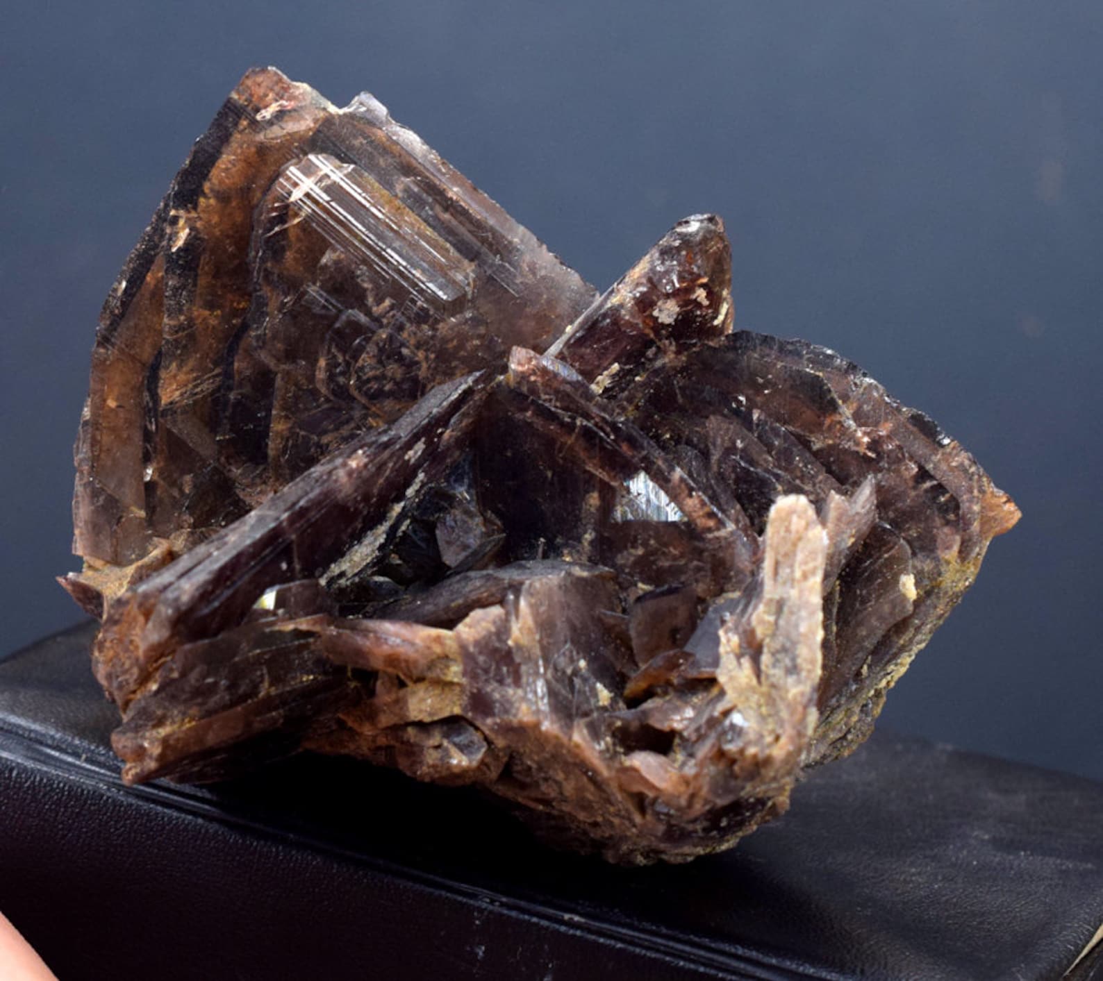 Axinite Specimen Axinite Crystals Mineral Specimen From - Etsy