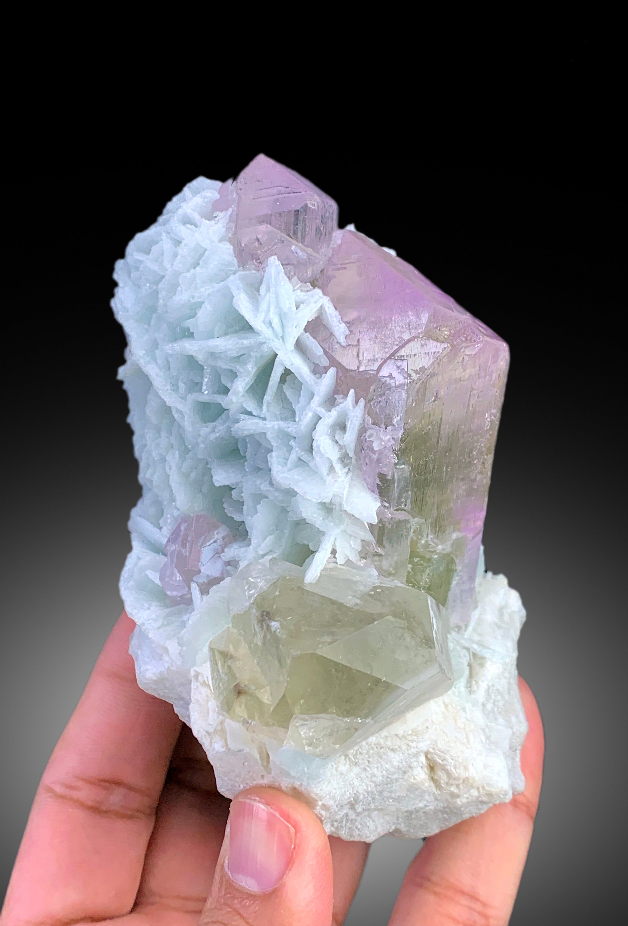 Kunzite Specimen With Quartz and Clevlandite Albite, Bicolor Kunzite ...