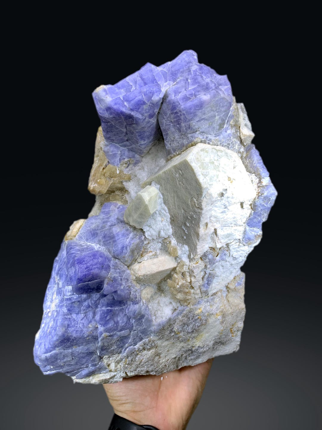 Fluorescent Purple Hackmanite With Winchite Specimen From Badakhshan ...