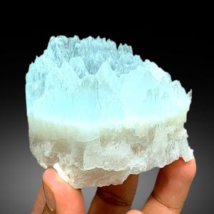 Bicolor Beryl, Aquamorganite Crystal, Morganite Var Aquamarine With ...