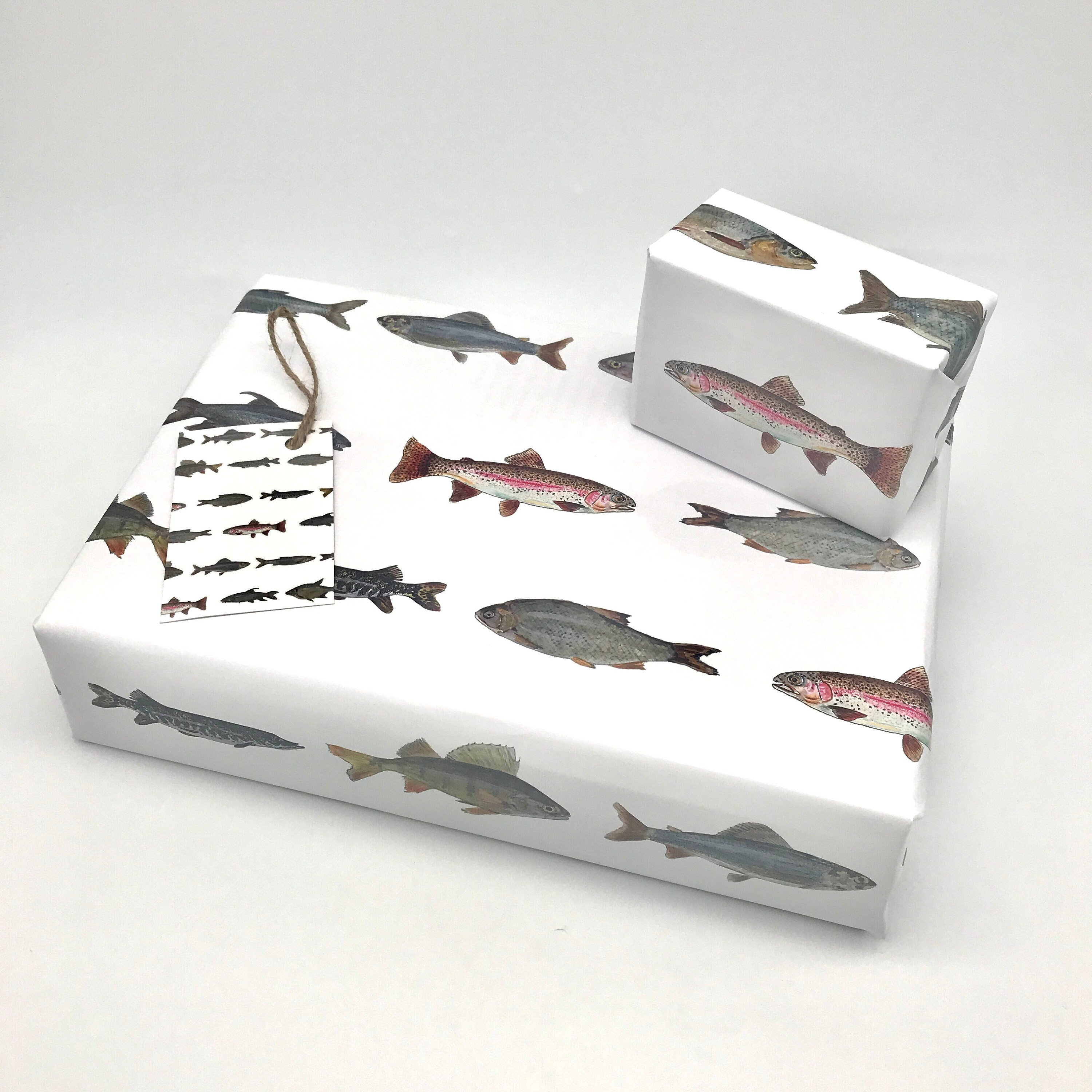 British River Fish Wrapping Paper. Fish Gift Wrap,for Any Fish Lover or ...