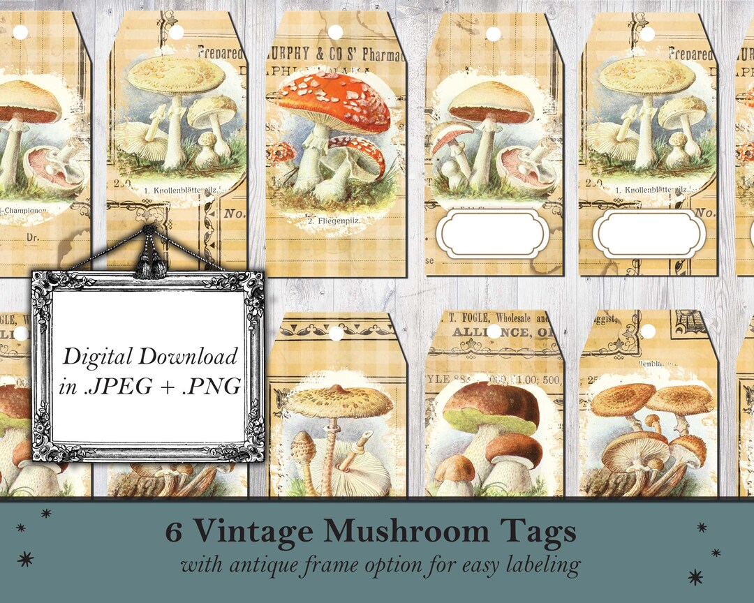 Vintage Mushroom Tags, Botanical Clipart, Junk Journal Ephemera ...