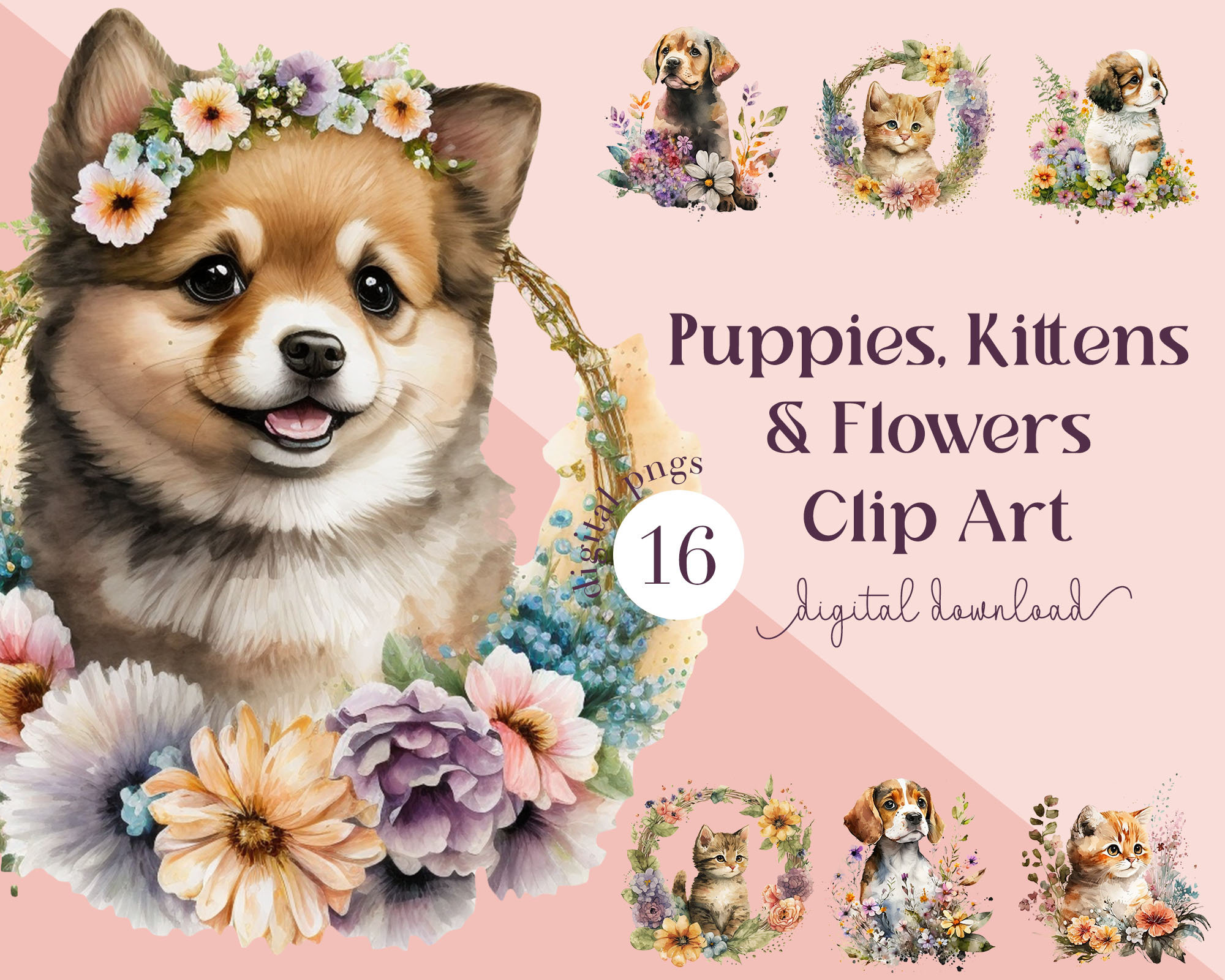 Cute Puppies And Kittens