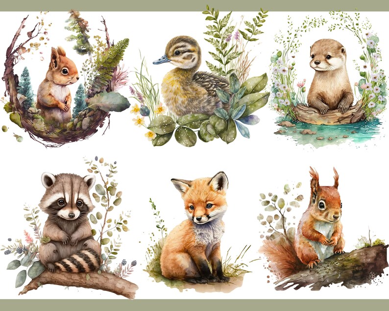 Woodland Animals PNG Clip Art Baby Birthday Nursery Fox - Etsy