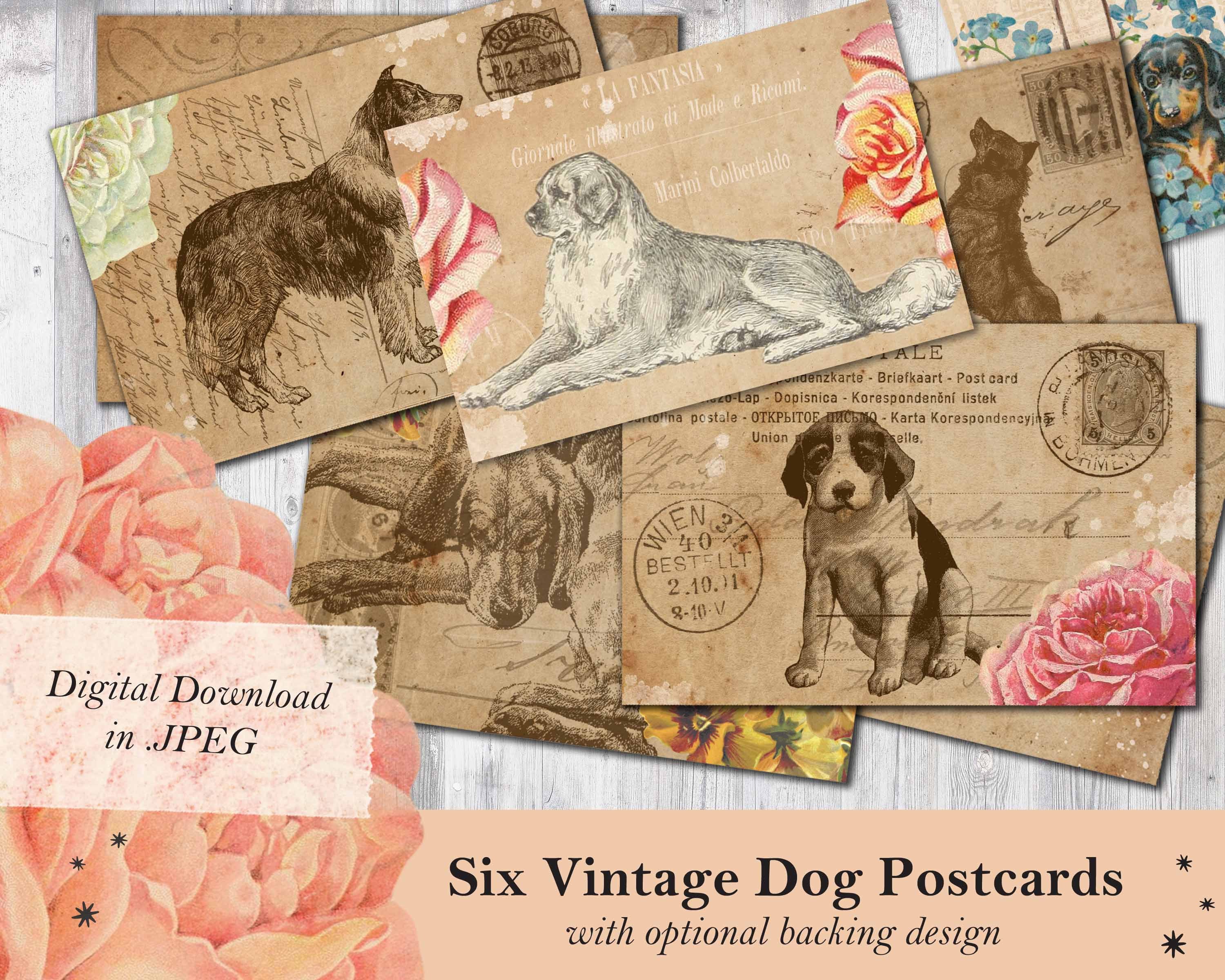 Vintage Dog and Flowers Postcards vintage dog postcards | Etsy