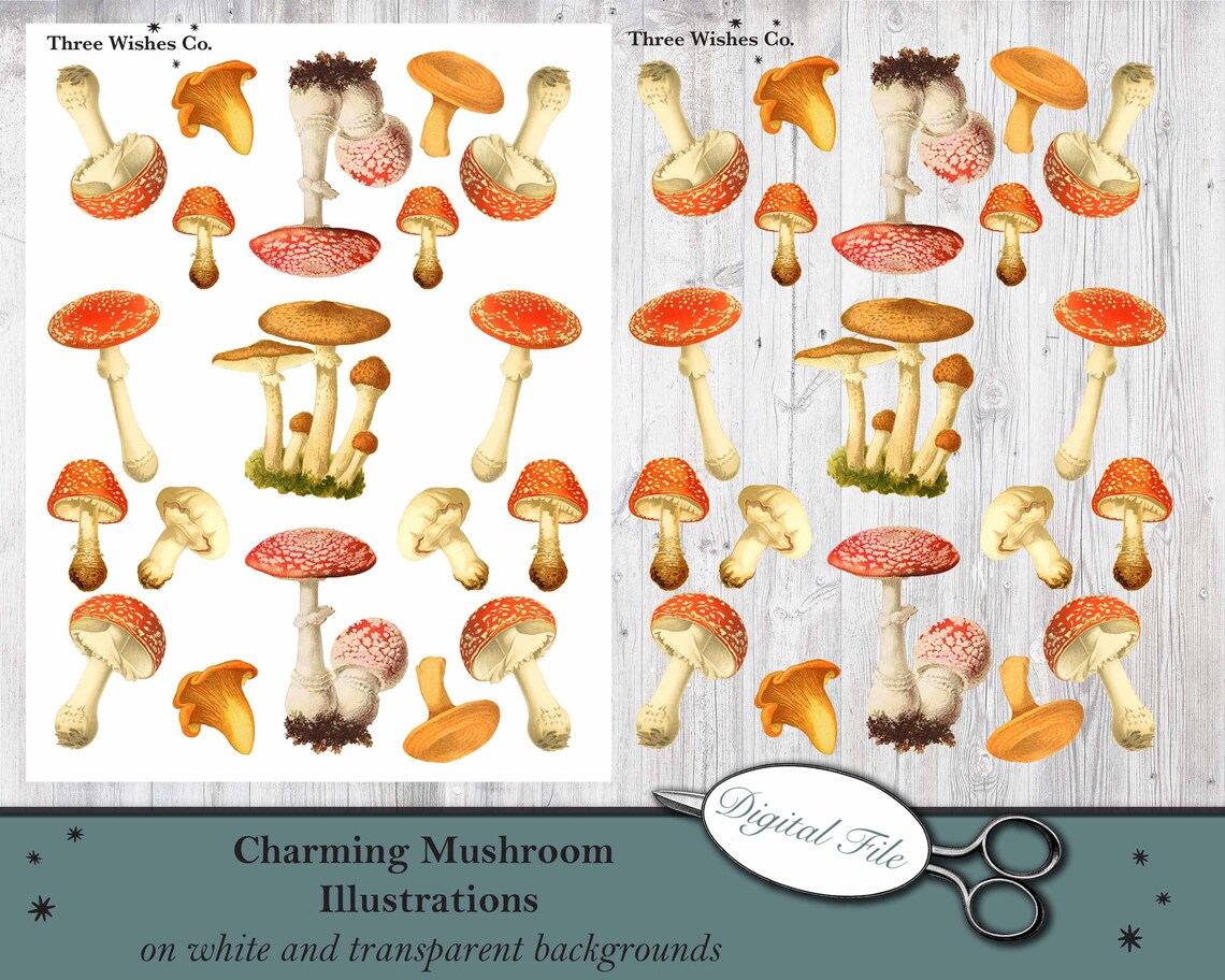 Vintage Mushroom Collage Sheet Png Scrapbooking Mushroom Etsy 日本