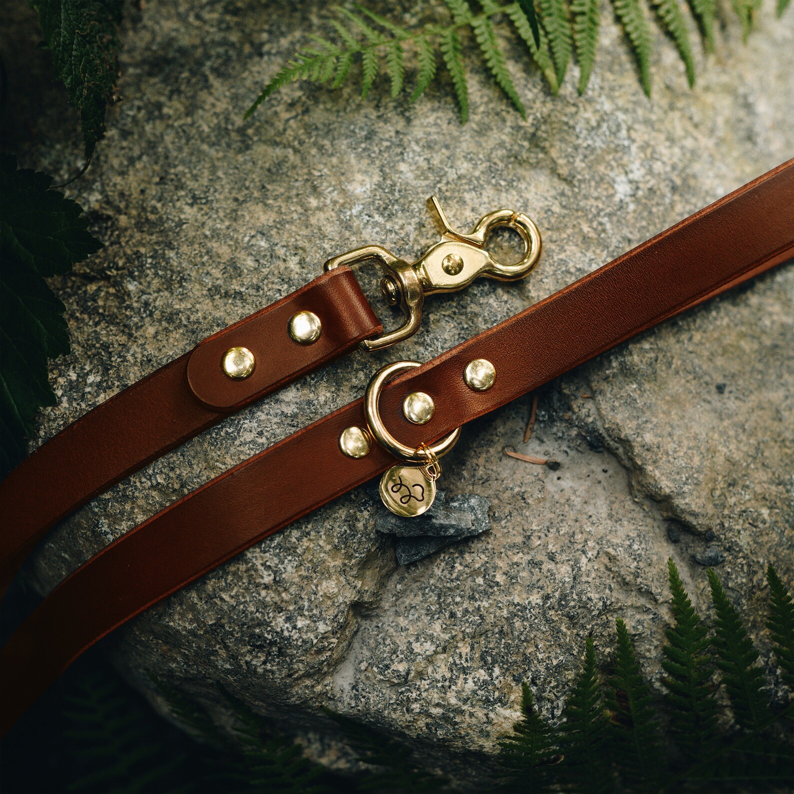 Acorn Brown - Leather Collar and Lead Bundle With Solid Brass Hardware ...
