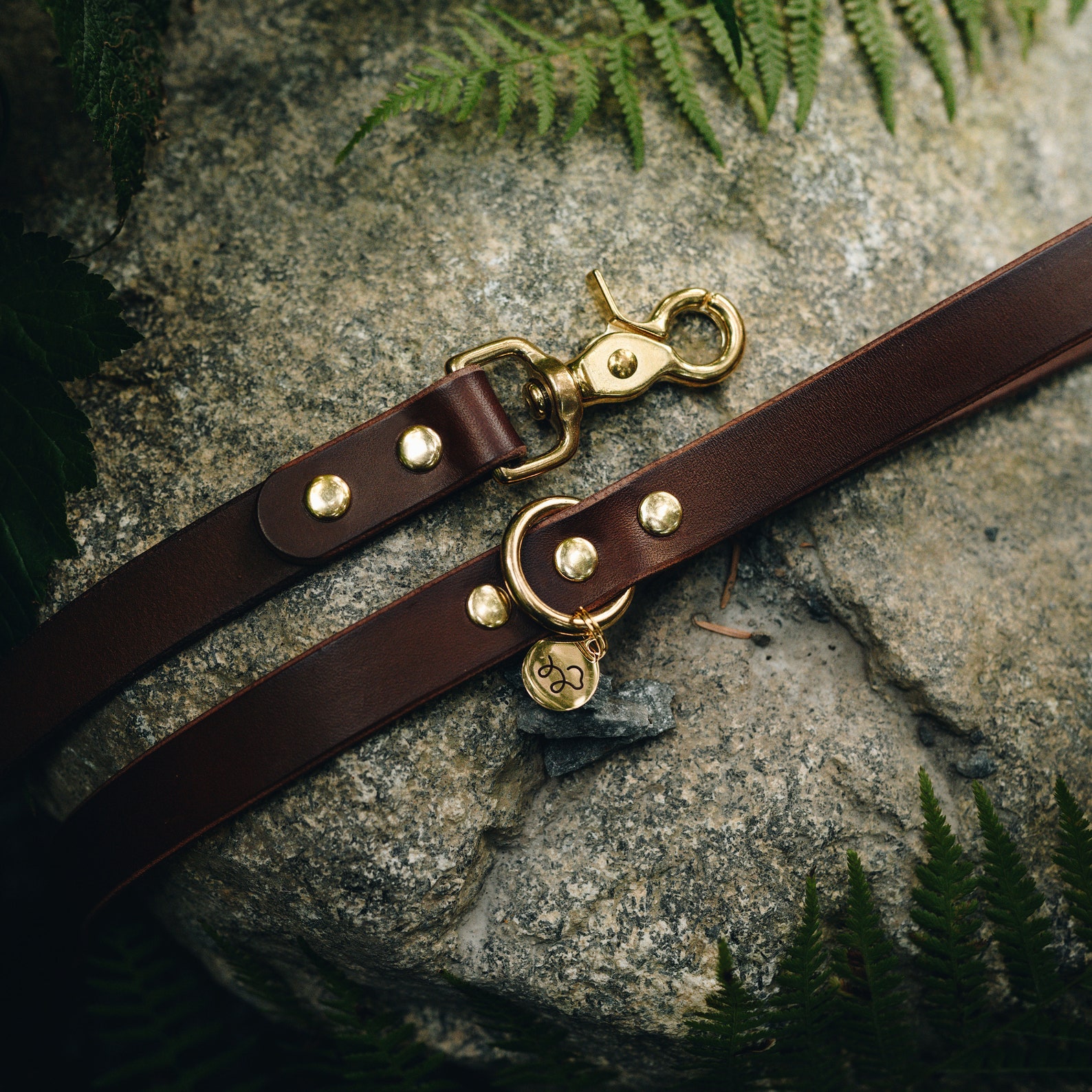 Conker Brown - Leather Collar and Lead Bundle With Solid Brass Hardware ...