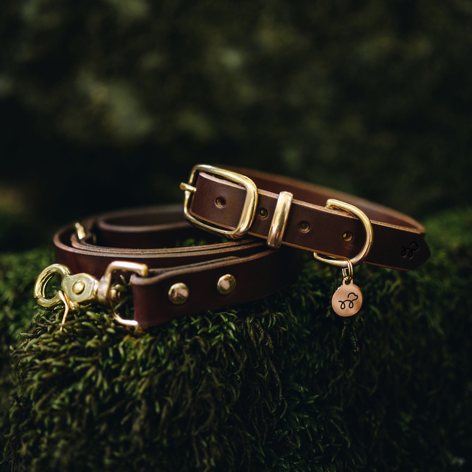 Conker Brown - Leather Collar and Lead Bundle With Solid Brass Hardware ...
