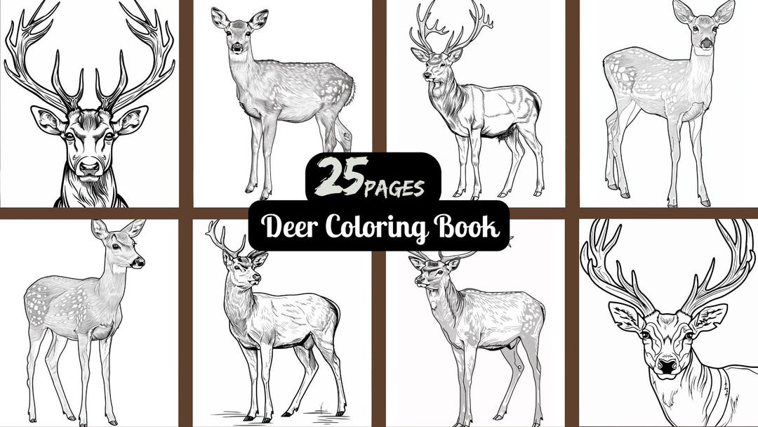 Deer Coloring Book With Detailed Designs, Antlers Art Therapy ...