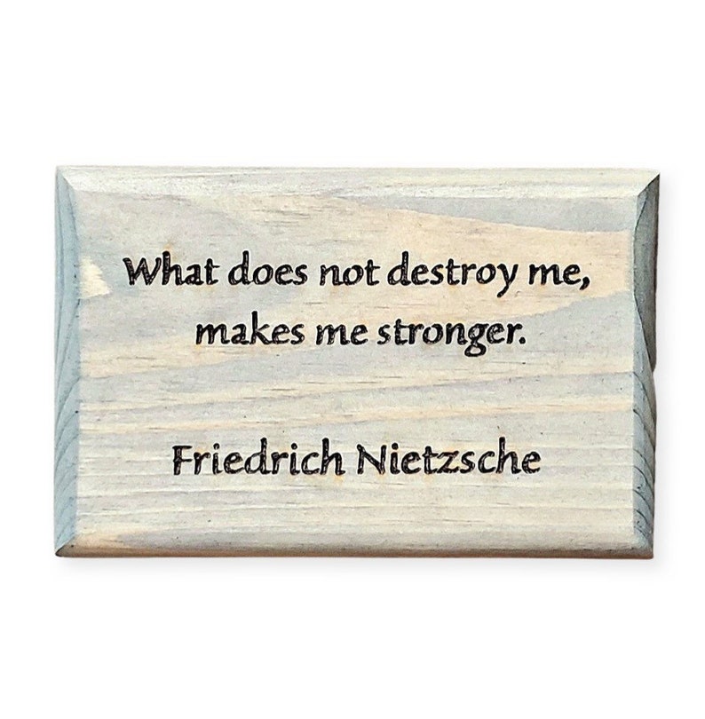 Friedrich Nietzsche Quote Wooden Sign What Does Not Destroy - Etsy