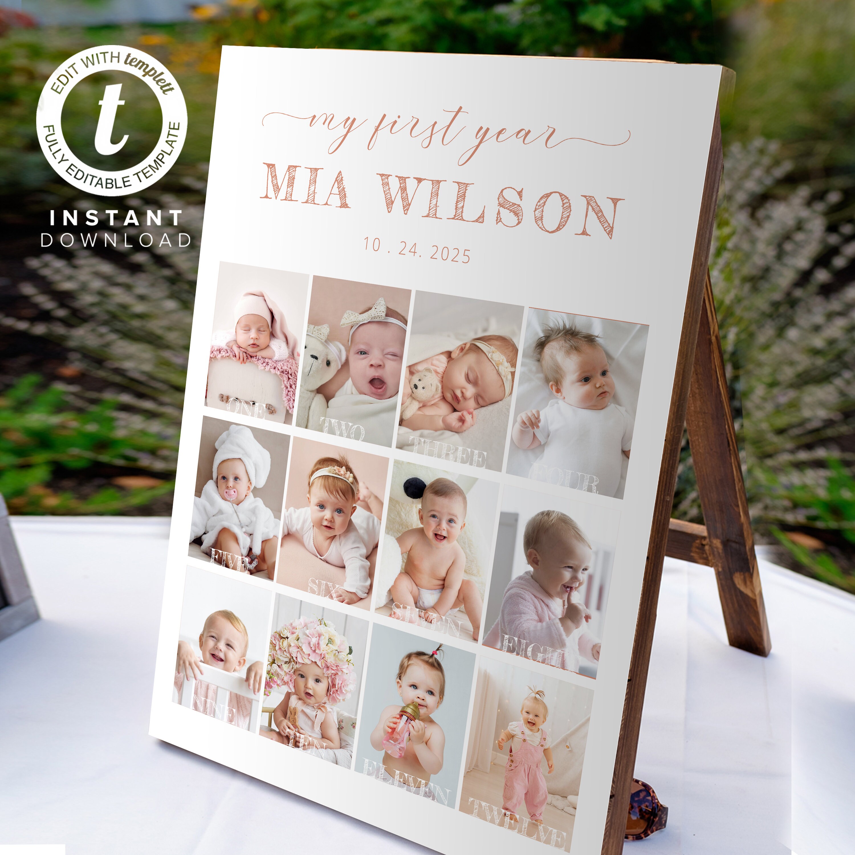 Baby's First Year Photo Poster Template: Milestone Sign (digital ...