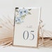 Dusty Blue Floral Table Numbers Templateeditable Winter - Etsy