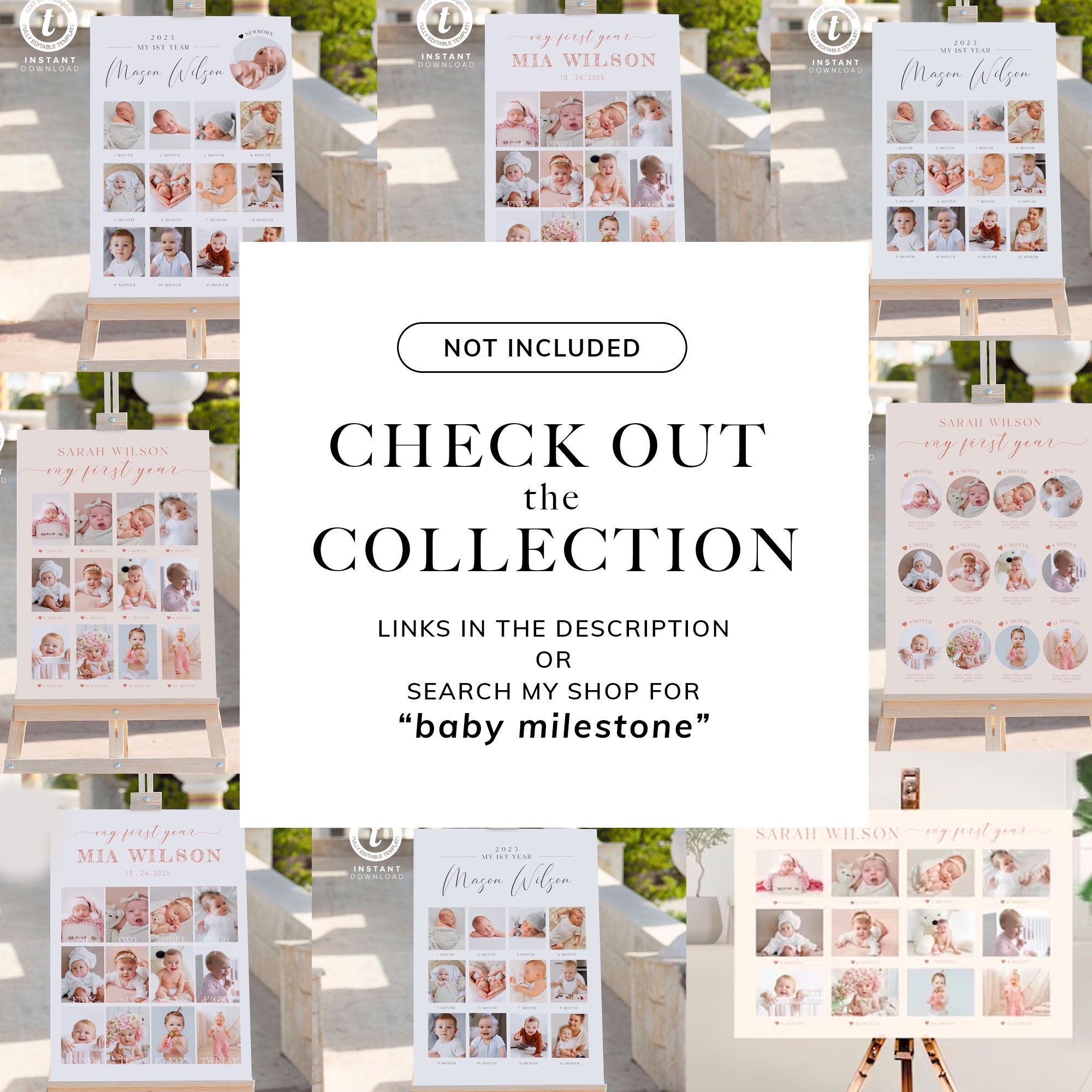 Winnie Pooh Bear One Year of Baby Photo Template Editable First Birthday Milestones Sign 12 ...