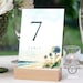 Beach Ocean Themed Wedding Table Number Card Template, Editable Palm ...