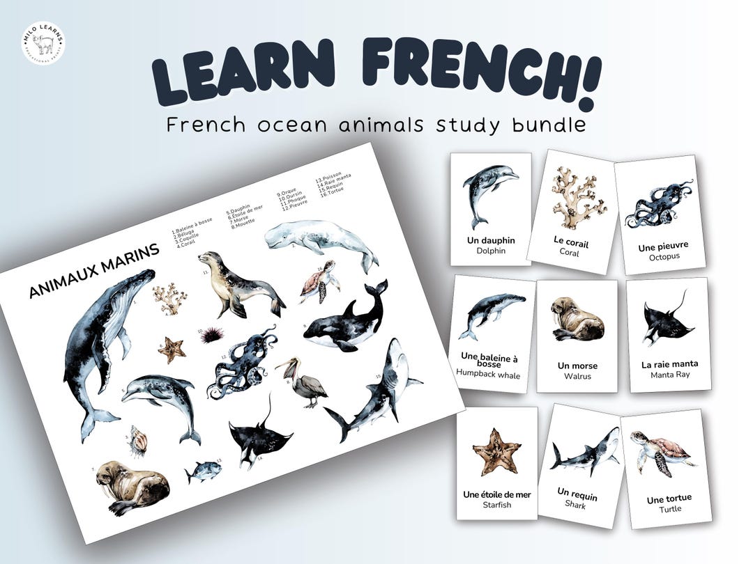 French Ocean Animal Flashcards for Kids – Bilingual Educational ...