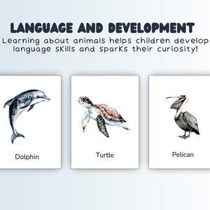 Printable Ocean Animal Flashcards for Kids – Educational Study Bundle ...