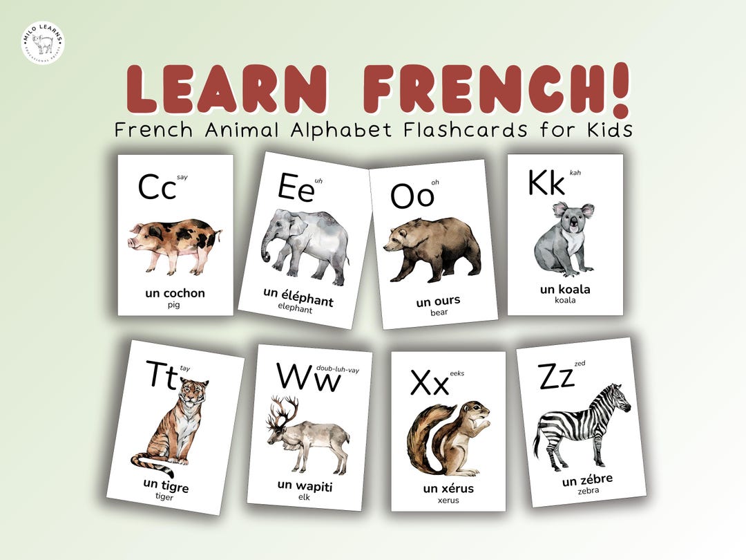 French Animal Alphabet Flashcards for Kids - Alphabet Learning Cards ...