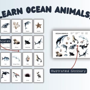 Printable Ocean Animal Flashcards for Kids – Educational Study Bundle ...