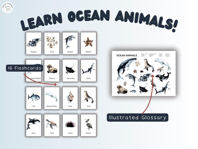 Printable Ocean Animal Flashcards for Kids – Educational Study Bundle ...