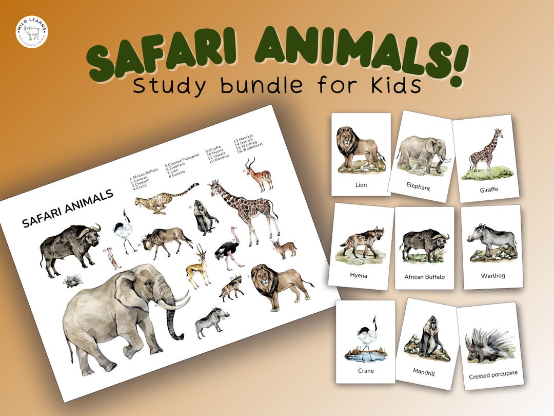 Printable Safari Animal Flashcards for Kids – Educational Study Bundle ...
