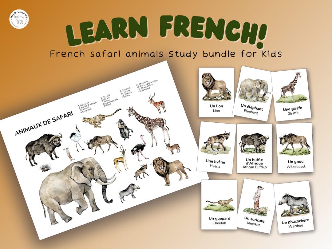 French Safari Animal Flashcards for Kids – Bilingual Educational ...