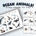 Printable Ocean Animal Flashcards for Kids – Educational Study Bundle ...
