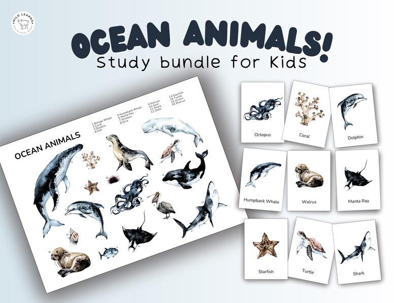Printable Ocean Animal Flashcards for Kids – Educational Study Bundle ...
