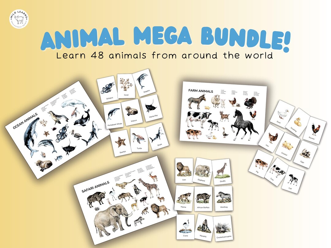 Printable Animal Flashcards for Kids – Educational Study Bundle for ...